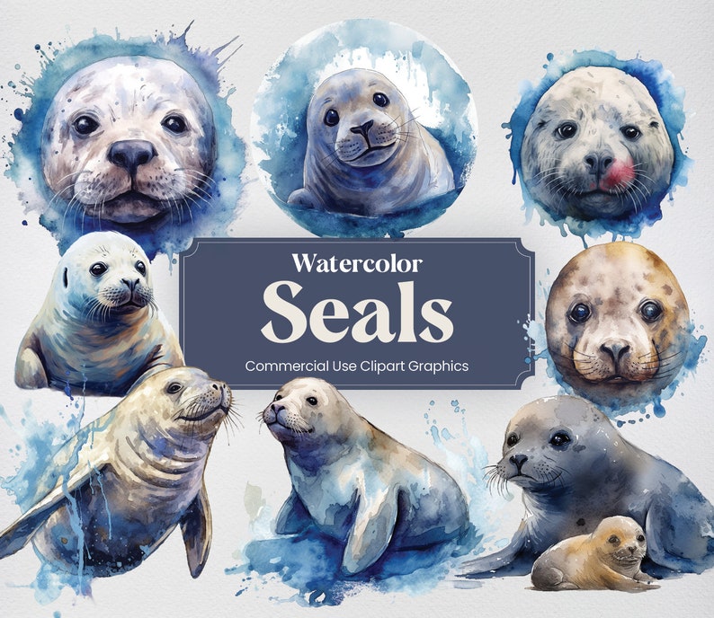 Watercolor Seal, 25 Cute Baby Seals, Digital Marine Animal Prints, Blue ...
