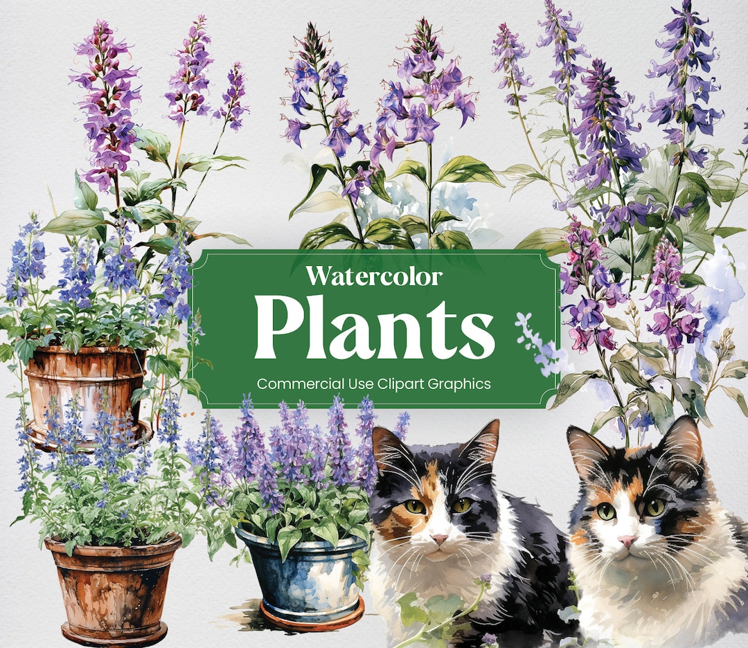 Watercolor Catmint, 26 Catmints, Flowers Plants Spring Floral Bouquet ...
