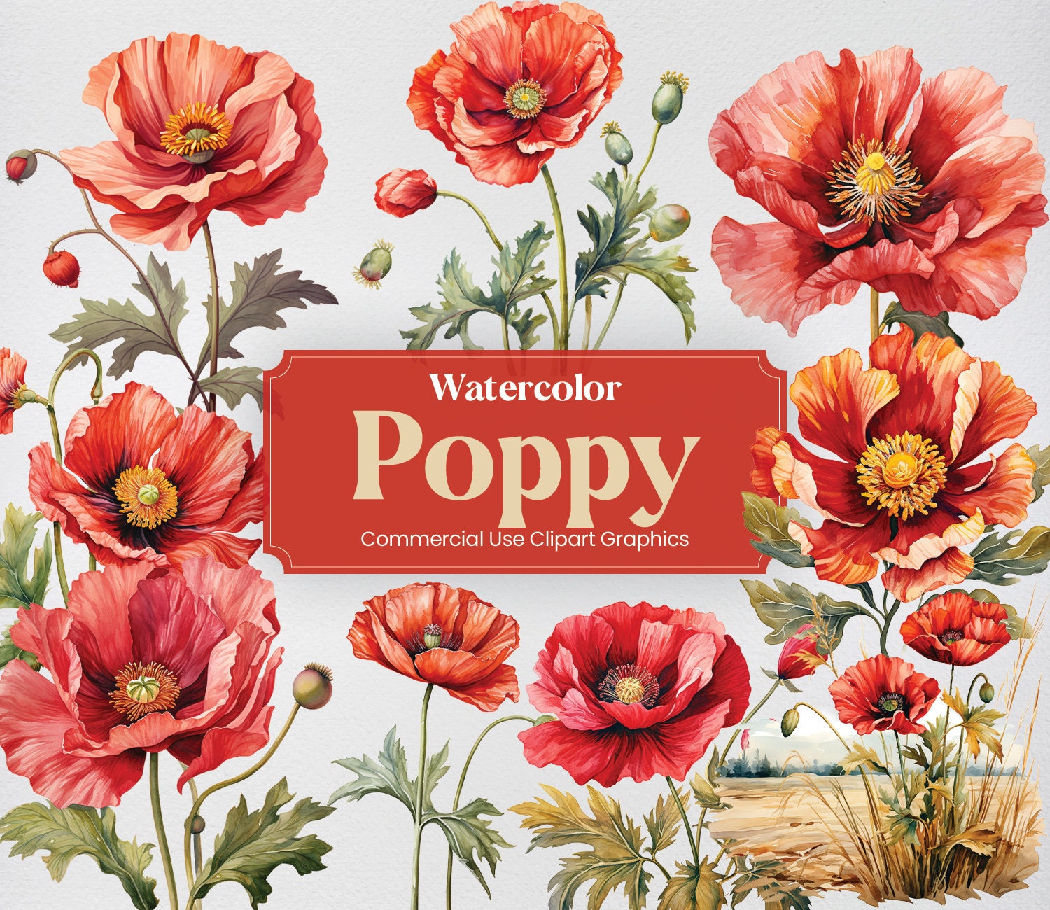 Watercolor Poppy, 27 Poppies Plants Flowers Spring Floral Bouquet Flora ...