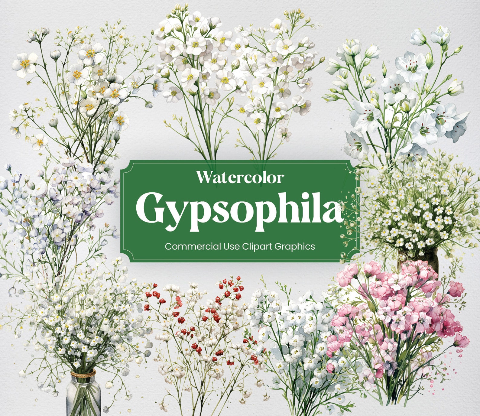 Watercolor Gypsophila, 20+ Gypsophilas, Flowers Plants Spring Floral ...