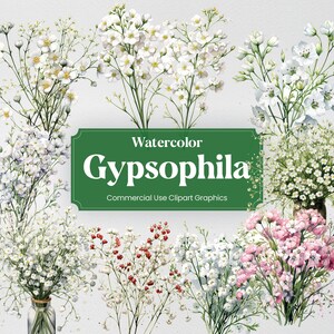 Watercolor Gypsophila, 20+ Gypsophilas, Flowers Plants Spring Floral ...