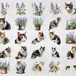 Watercolor Catmint, 26 Catmints, Flowers Plants Spring Floral Bouquet ...