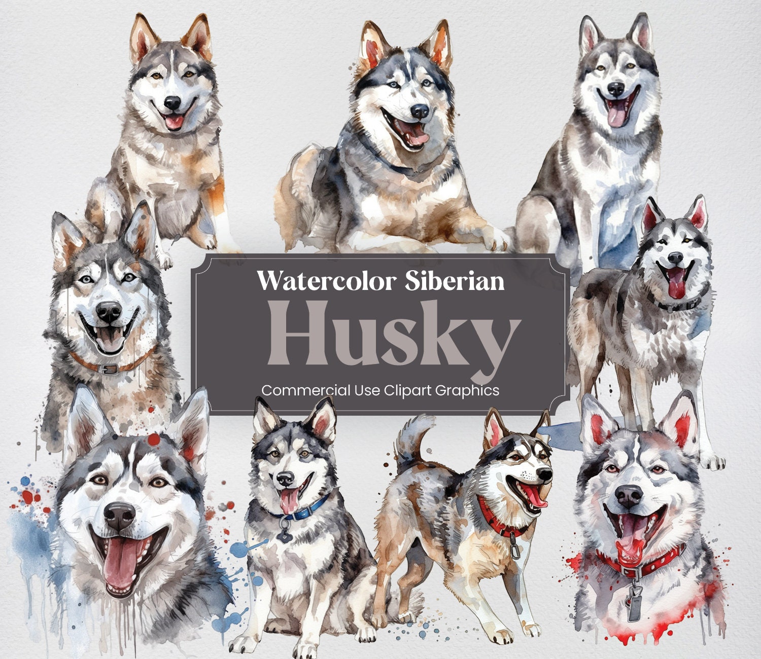 Watercolor Siberian Husky Dog Clipart, 24 Animal Digital Prints, PNG ...