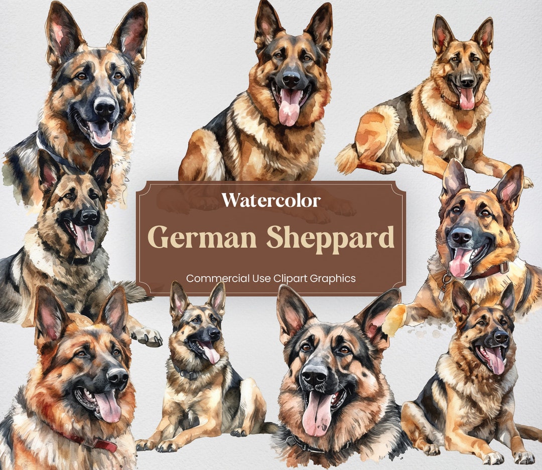 Watercolor German Shepherd Dog Clipart, 23 Animal Digital Clip Art, PNG ...