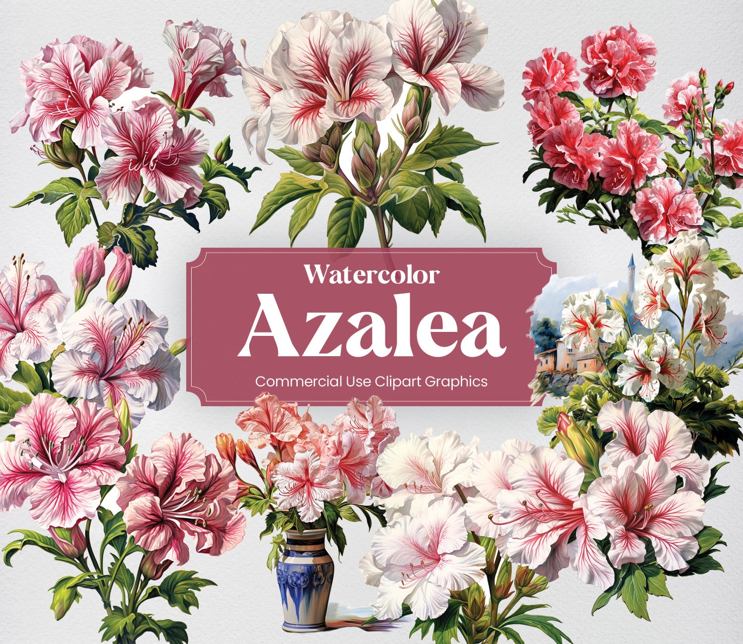 Watercolor Azalea, 29 Azaleas Spring Plants Flowers Flora Vegetation ...
