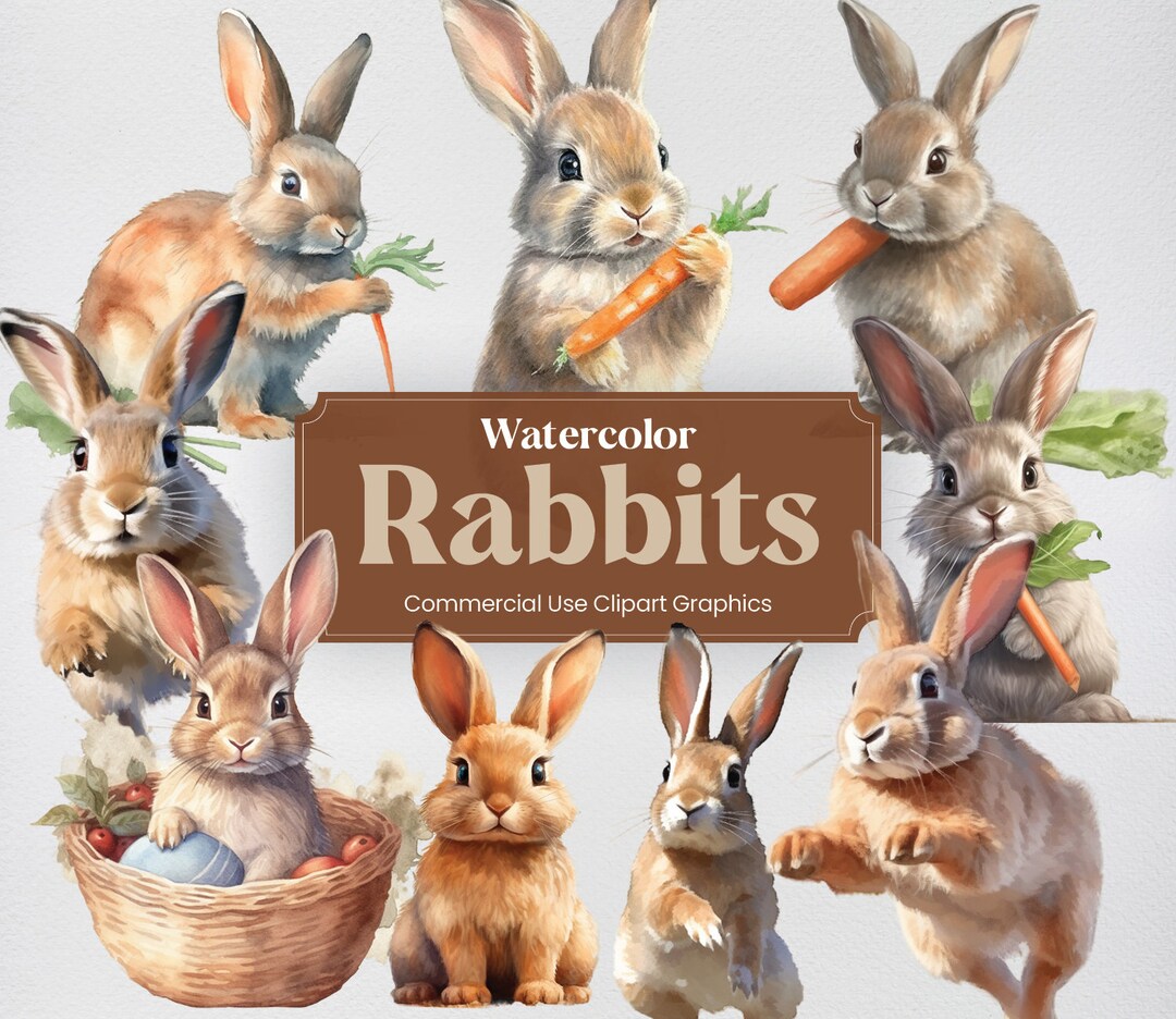 Watercolor Rabbit, 40 Rabbits Clipart, Baby Bunny Hare Animal Digital ...