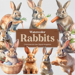 Watercolor Rabbit, 40 Rabbits Clipart, Baby Bunny Hare Animal Digital ...