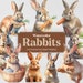 Watercolor Rabbit, 40 Rabbits Clipart, Baby Bunny Hare Animal Digital ...