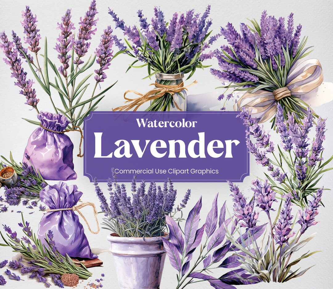 Watercolor Lavender, 32 Lavenders Plants Flowers Spring Flora ...