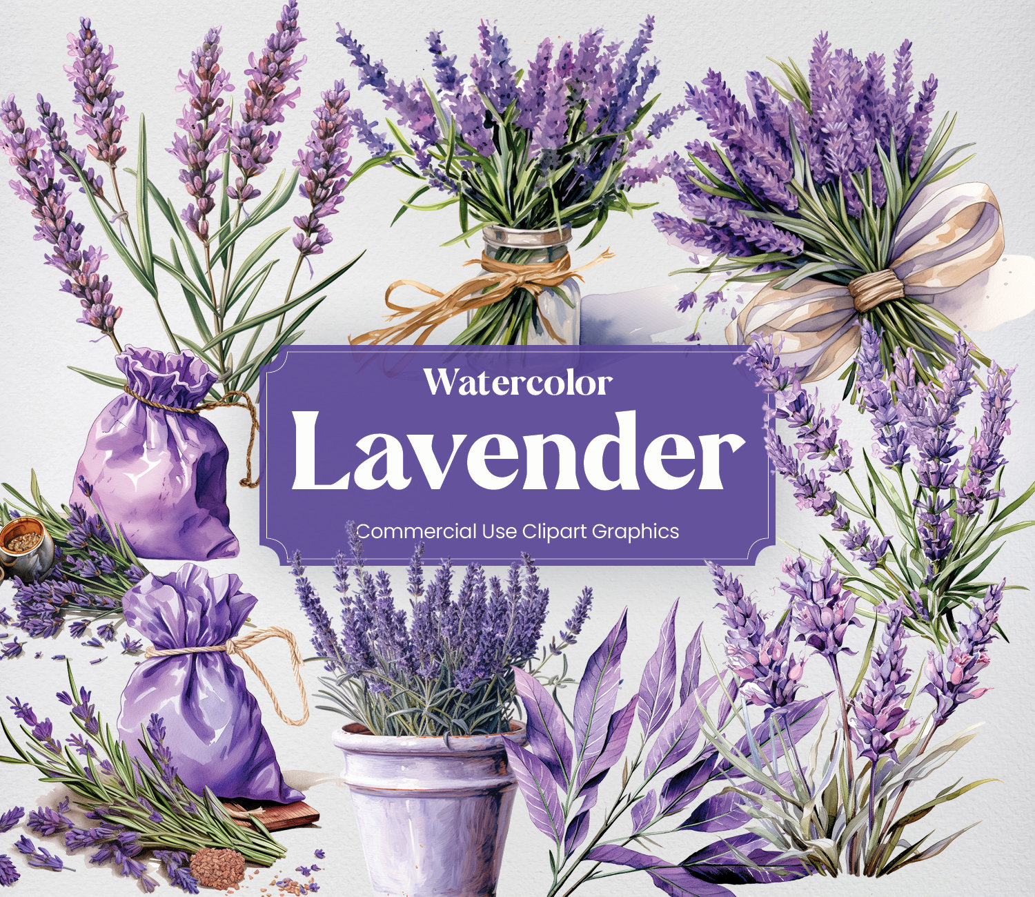 Watercolor Lavender, 32 Lavenders Plants Flowers Spring Flora ...