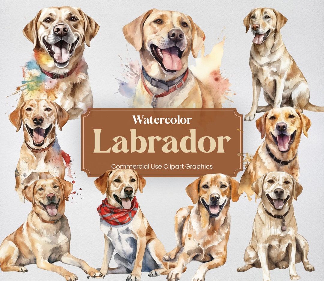 Watercolor Labrador Retriever Dog Clipart, 24 Animal Digital Clip Art ...
