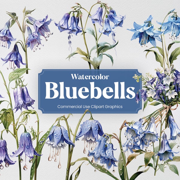 Bluebells - Etsy