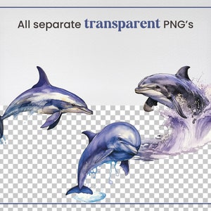 Watercolor Dolphin, 23 Dolphins Clipart, Marine Animal Digital Prints ...