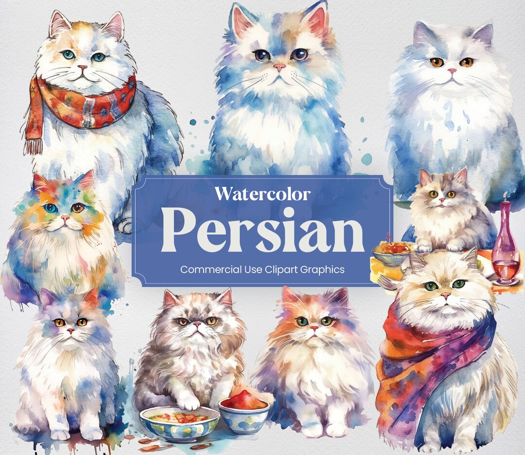 Watercolor Persian Cat, 13 Cats and Kitten Clipart, Cute Animal Digital ...