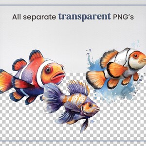 Watercolor Fish, 58 Marine Life Clipart, Ocean Animals Sea Creatures ...