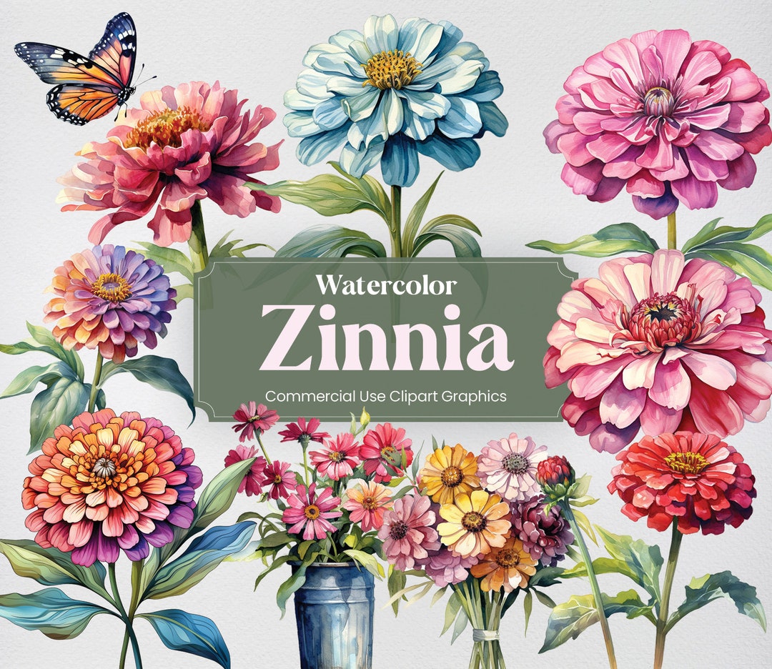 Watercolor Zinnia, 28 Zinnias Plants Flowers Spring Floral Bouquet ...