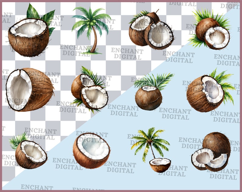 Coconut Clipart Watercolor Tropical Coconut Palm Tree Beach Clipart ...