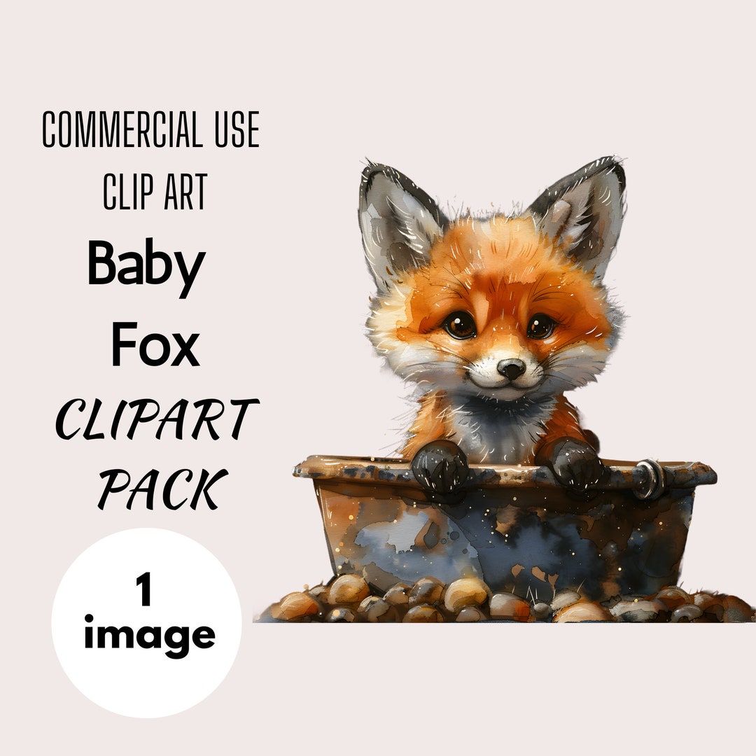 Baby Fox Clipart Graphic | SINGLE IMAGE | Commercial Use| Transparent ...