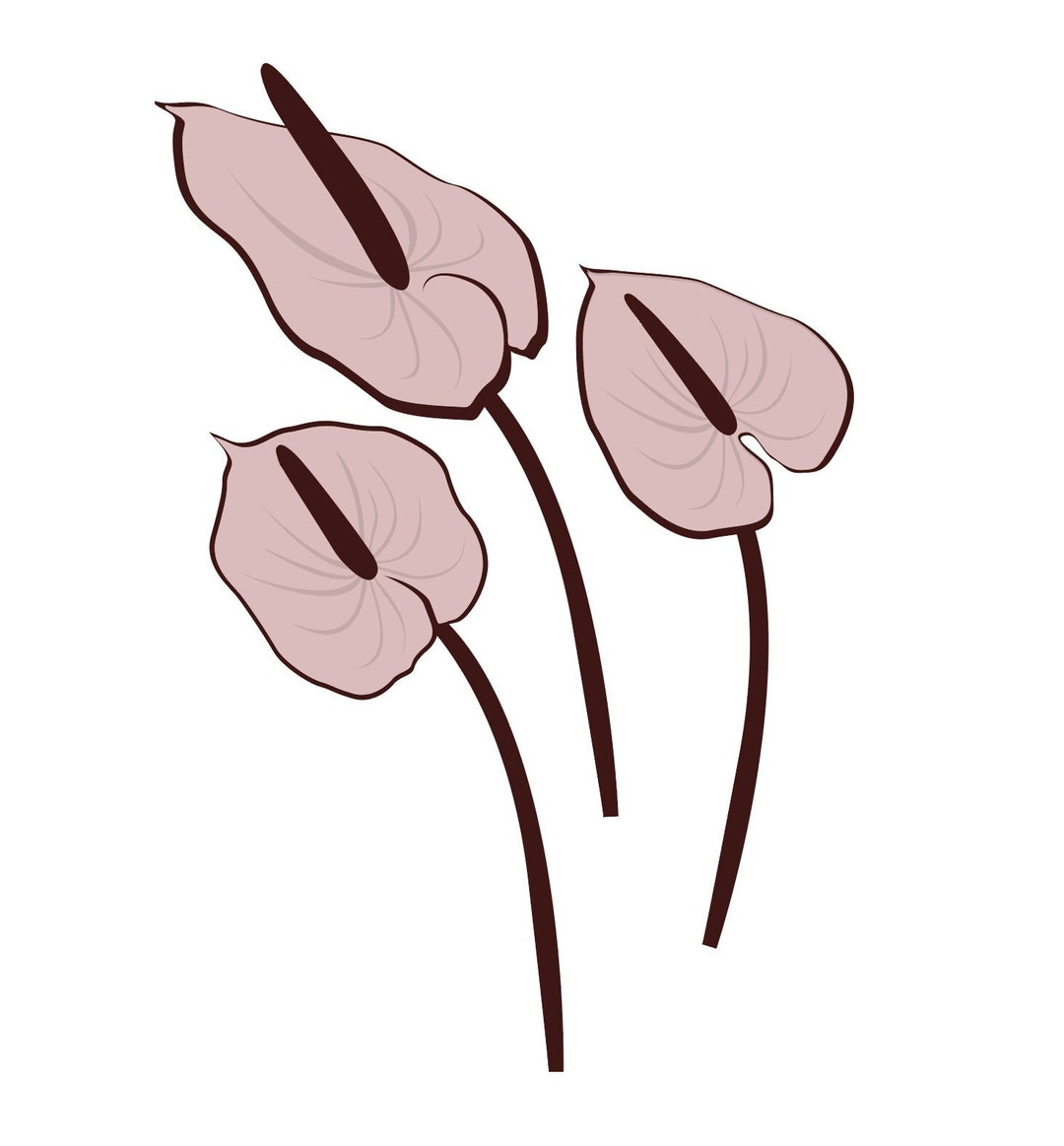 Cricut Paper Anthurium SVG Clipart - Etsy
