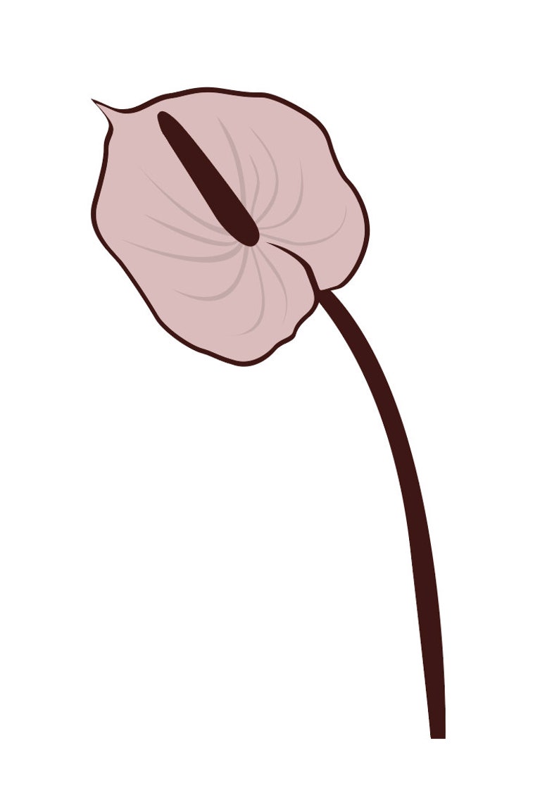 Cricut Paper Anthurium SVG Clipart - Etsy