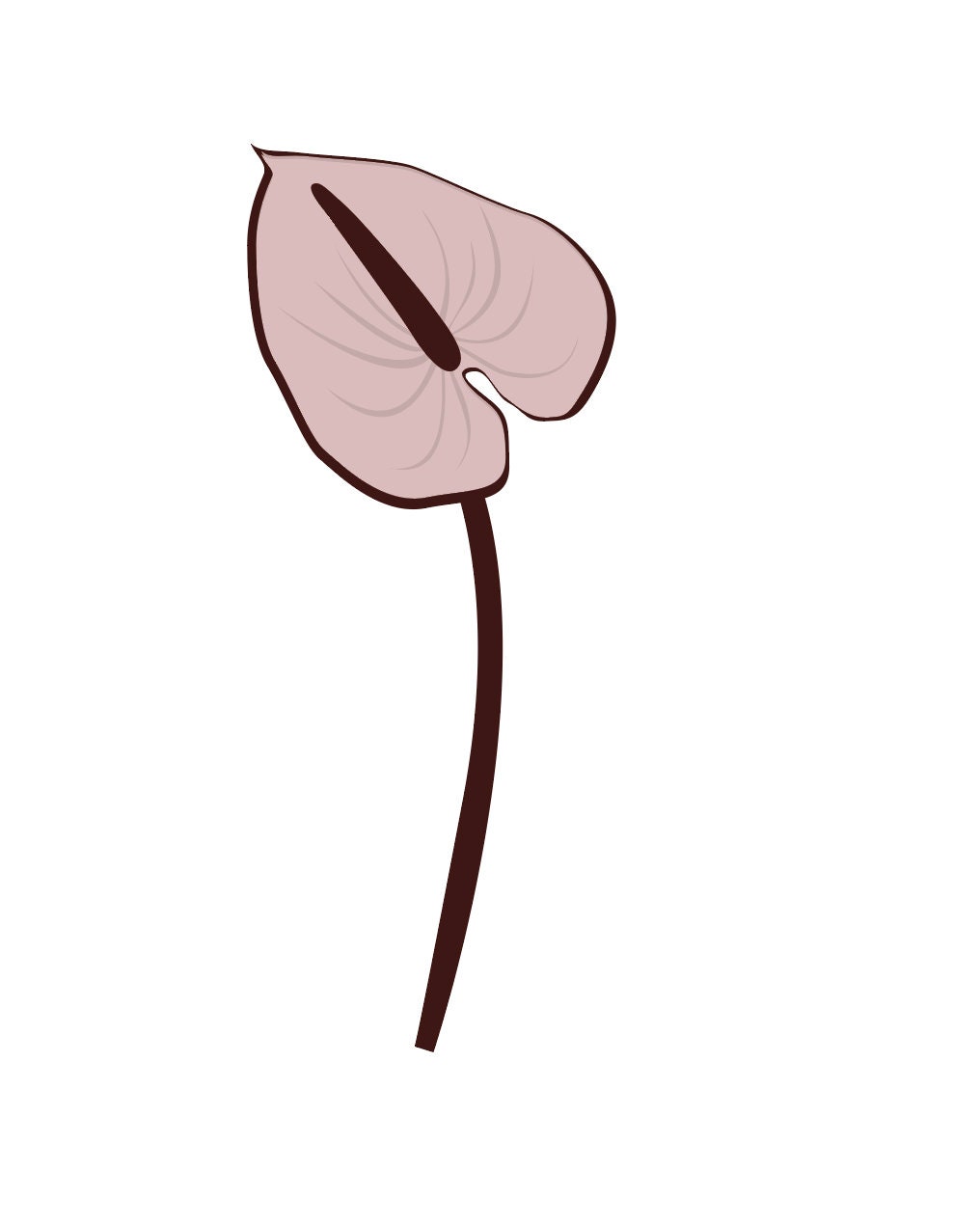Cricut Paper Anthurium SVG Clipart - Etsy