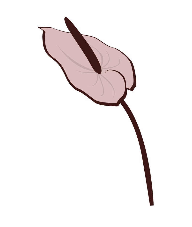 Cricut Paper Anthurium SVG Clipart - Etsy