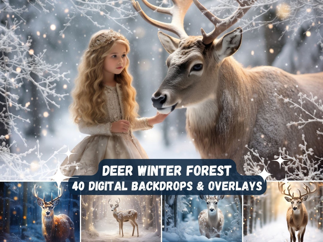 Reindeer Winter Forest Digital Backdrop, Christmas Snow Overlay (JPG ...