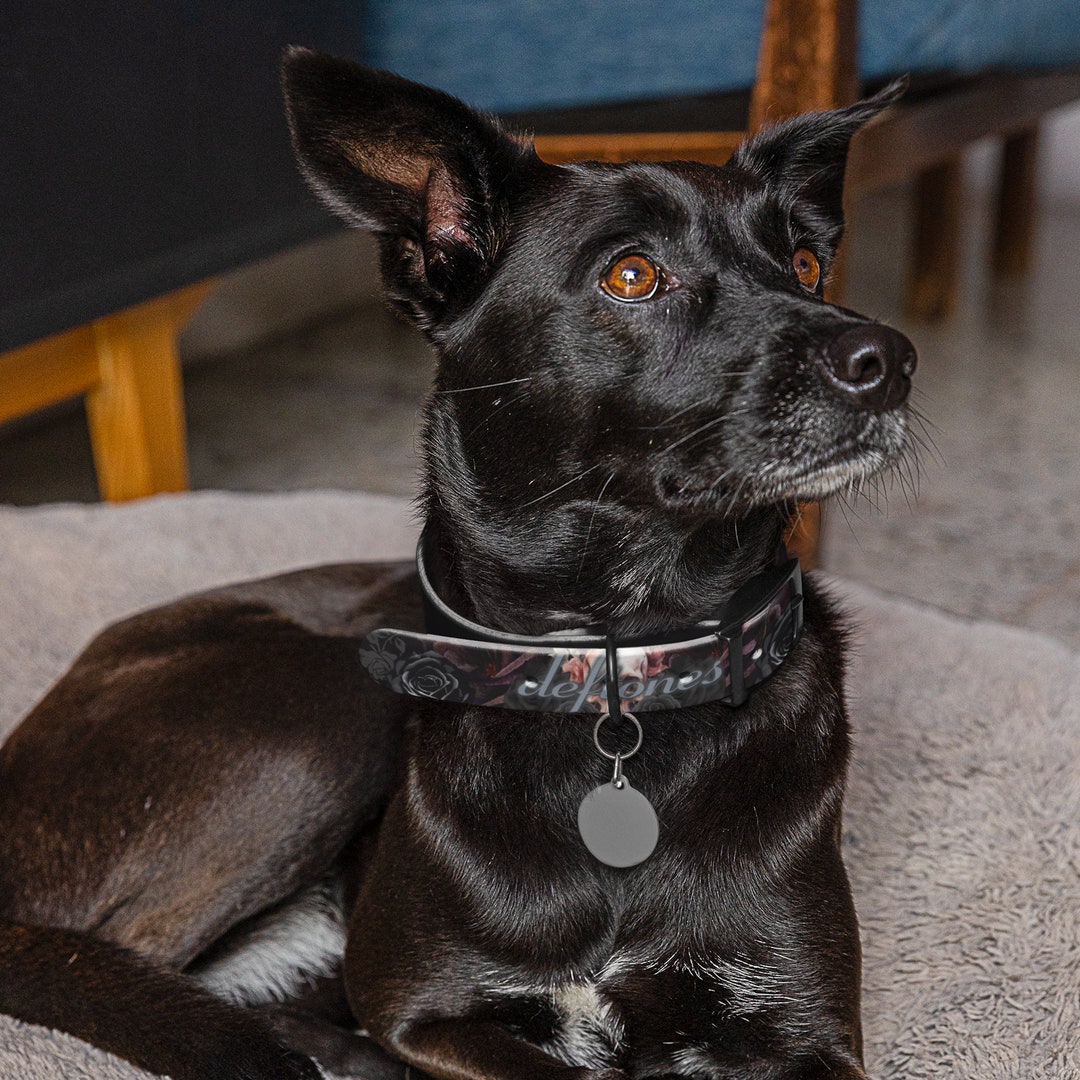 Deftones Dark Flower Dog Collar 4 Sizes 4 Buckle Choices - Etsy