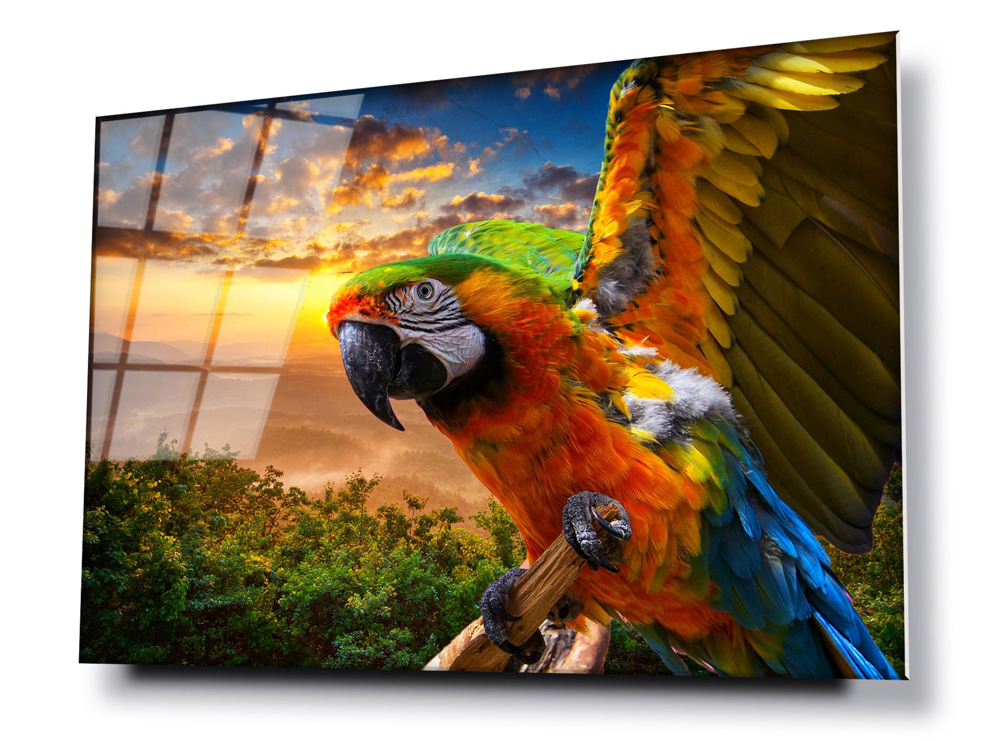 Colourful Macaw Glass Wall Art HD Digital Print on Glass - Etsy
