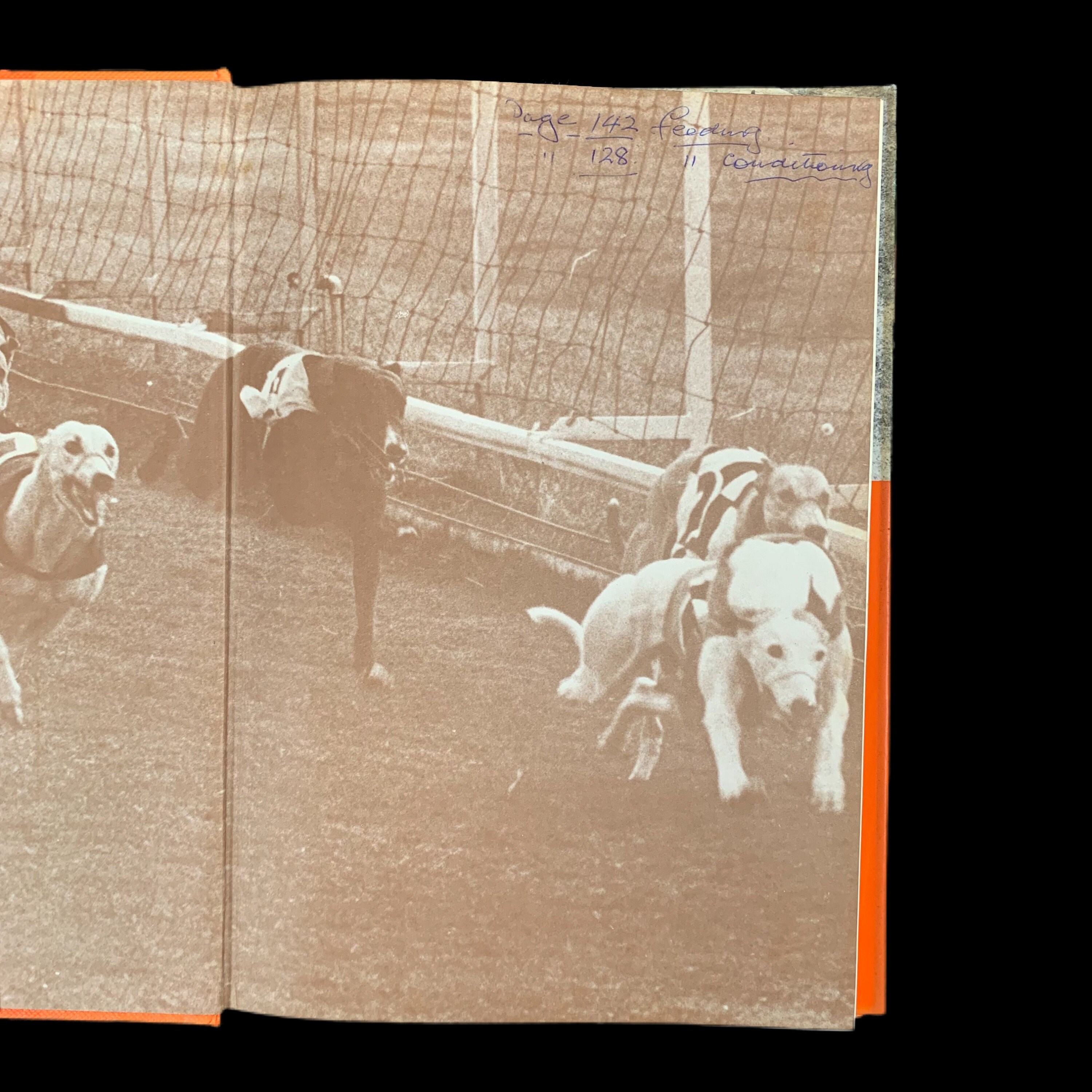 Racing Greyhounds Book: Roy Burnell, Revised 1978 Hardcover - Etsy