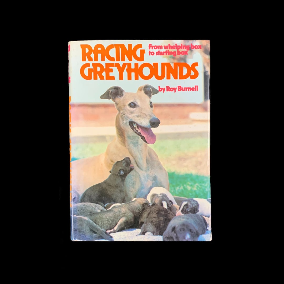 Racing Greyhounds From Whelping Box to Starting Box by Roy - Etsy Australia