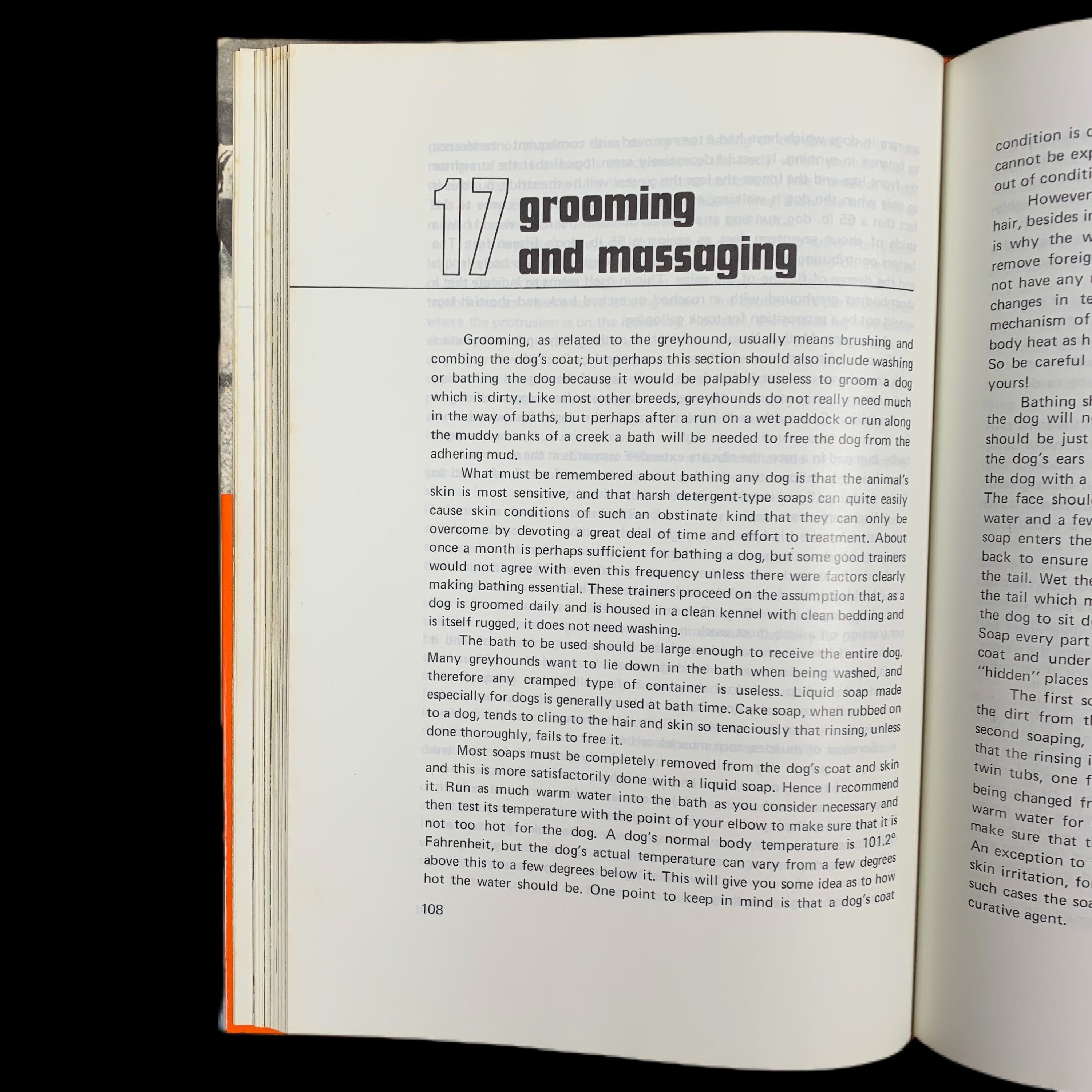 Racing Greyhounds Book: Roy Burnell, Revised 1978 Hardcover - Etsy