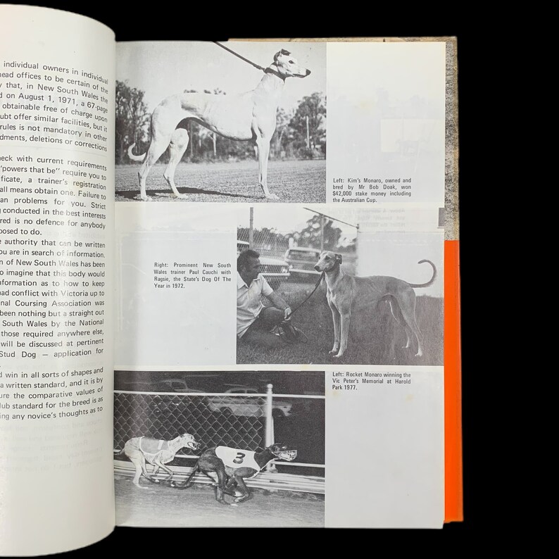 Racing Greyhounds Book: Roy Burnell, Revised 1978 Hardcover - Etsy