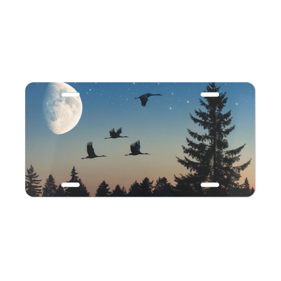 Moon and Birds Vanity Plate - Night Sky Car Tag - Etsy