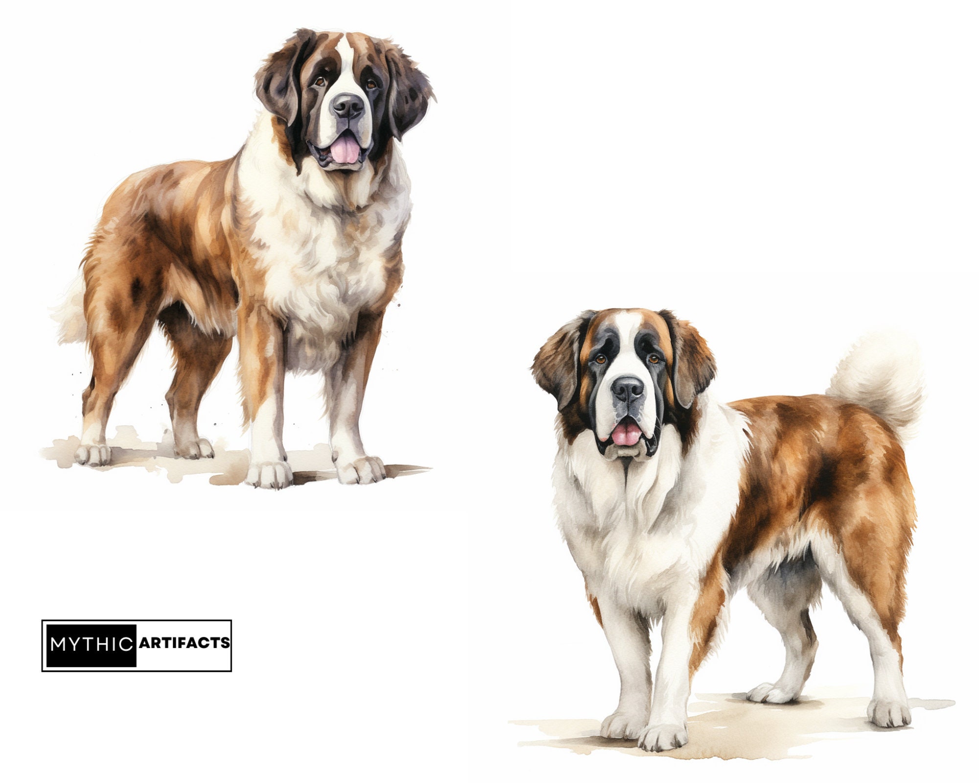 60 Saint Bernard Dog Breed Watercolour Illustrations. Clip Art, Puppies ...