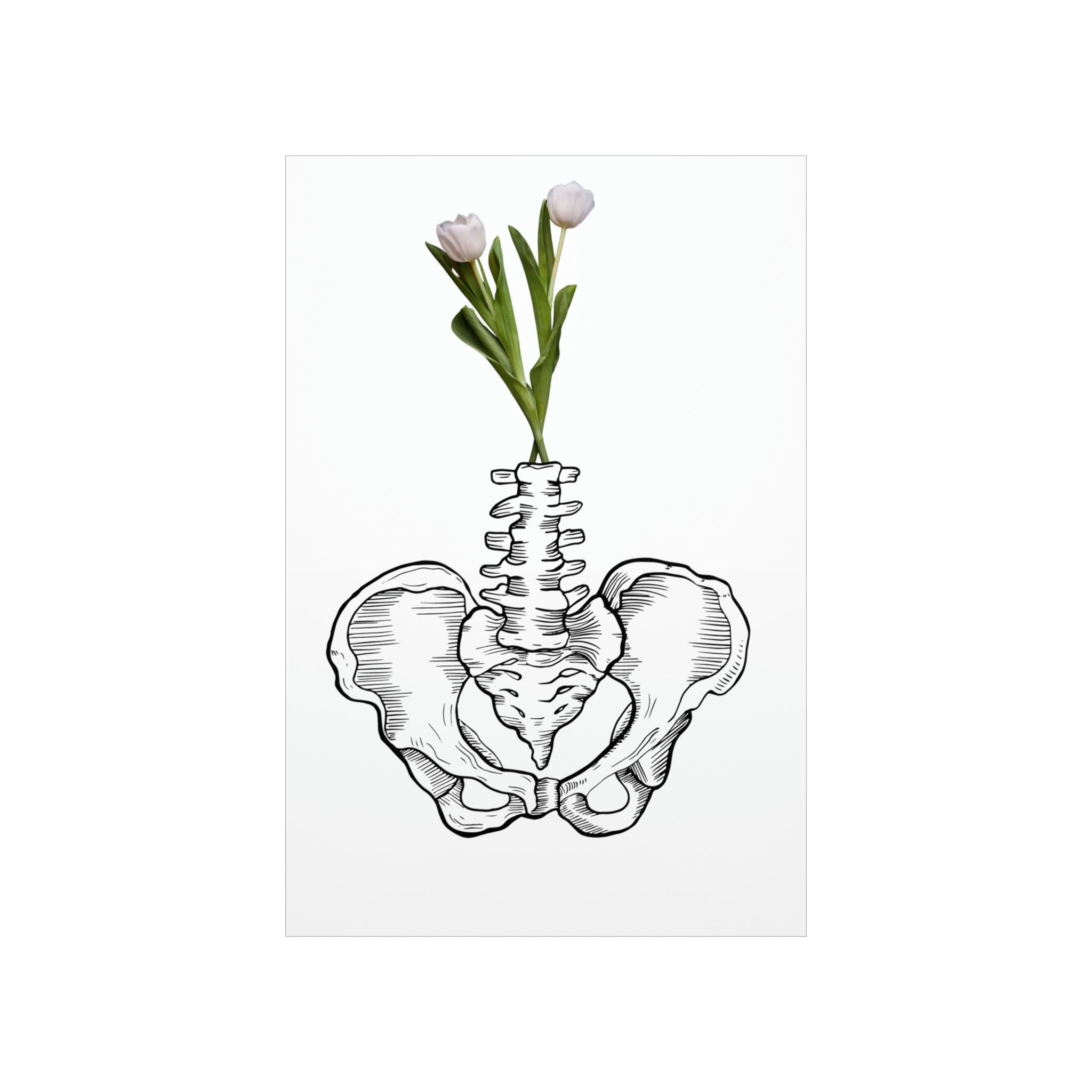 Pelvis Anatomical Floral Art Premium Matte Vertical Posters - Etsy