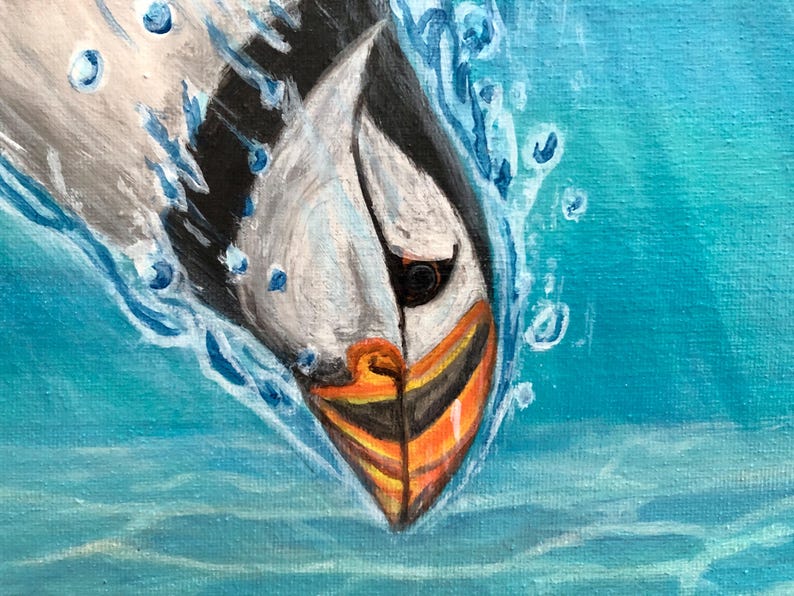 Puffin Diving, Seabird, Bird, Ocean Art, Seascape, Underwater - Etsy