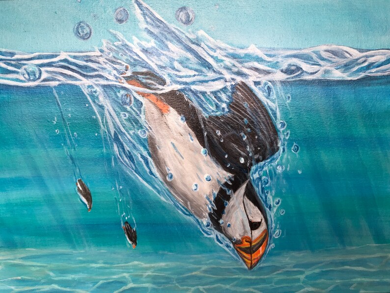 Puffin Diving, Seabird, Bird, Ocean Art, Seascape, Underwater - Etsy
