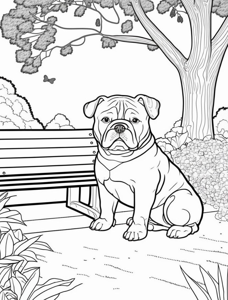 A Bulldog Coloring Book Eccentric Coloring DIGITAL FILE - Etsy