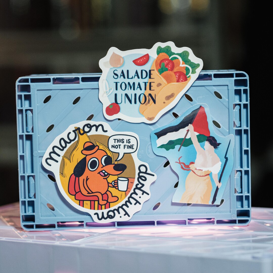 Palestine Sticker Liberty Leading the People Macron Impeachment Salad ...