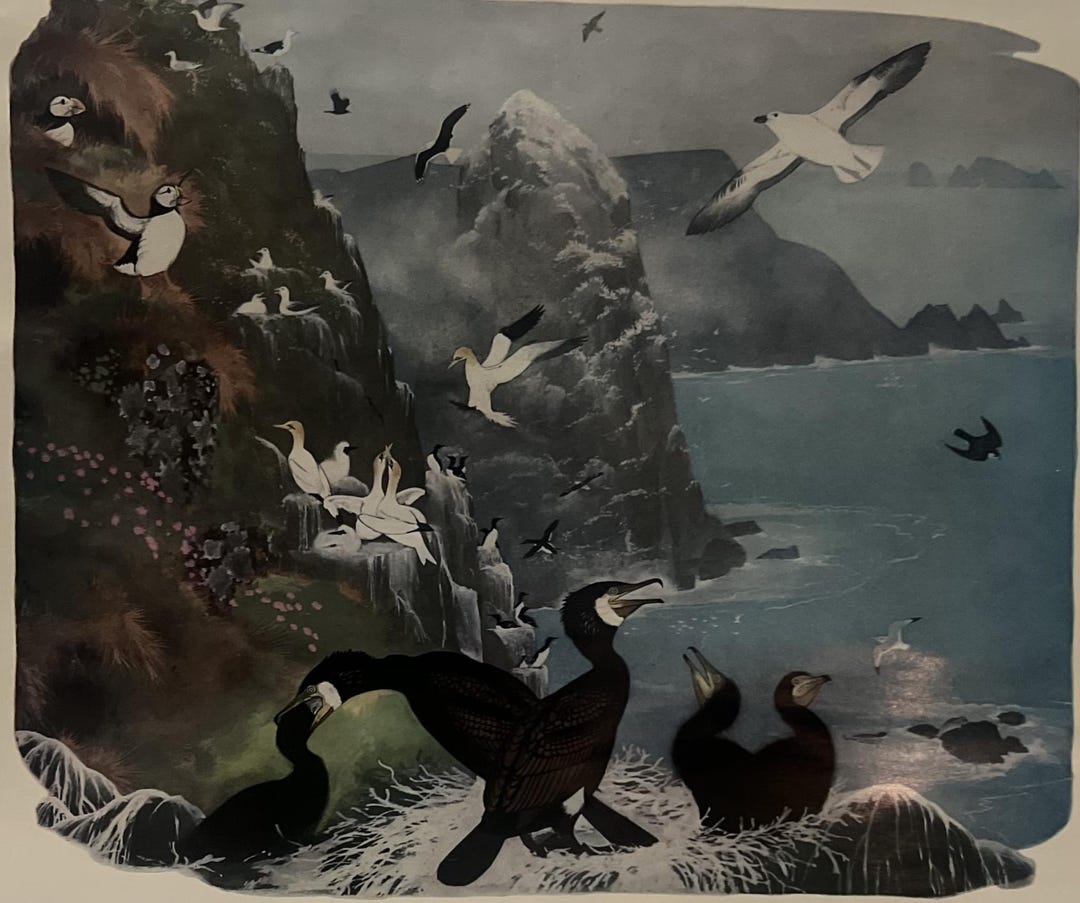 Shell Nature Studies: July - Seascape (number 7). Maurice Wilson and ...