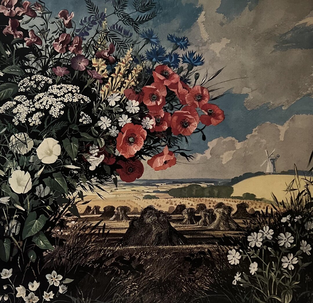 Shell Guide to August Lanes. an Original 1950s Poster by Edith and ...