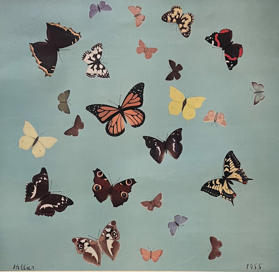 Shell Nature Studies Poster. Number 16: Butterflies Original 1955 ...