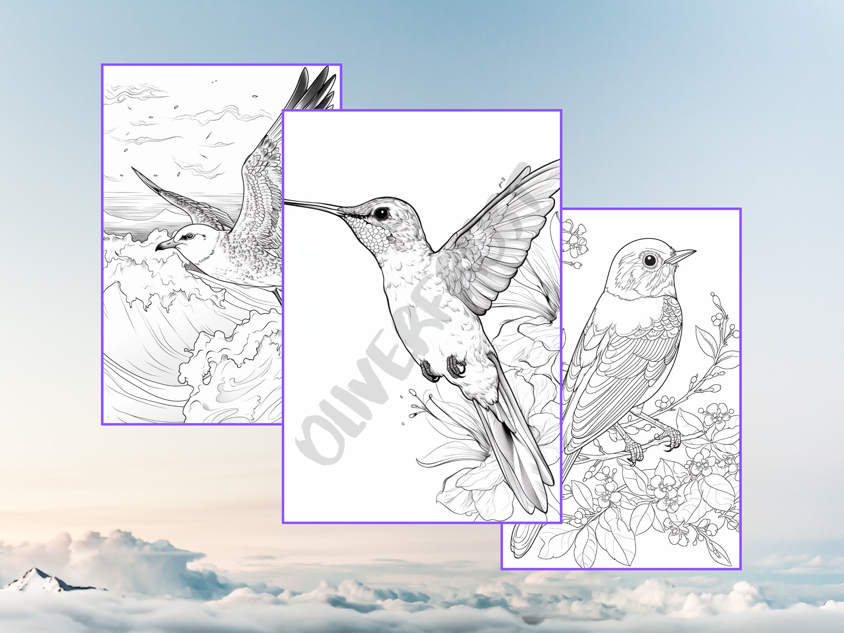 10 Elegant Birds Coloring Pages, Adult Coloring, Kids Coloring, Anxiety ...