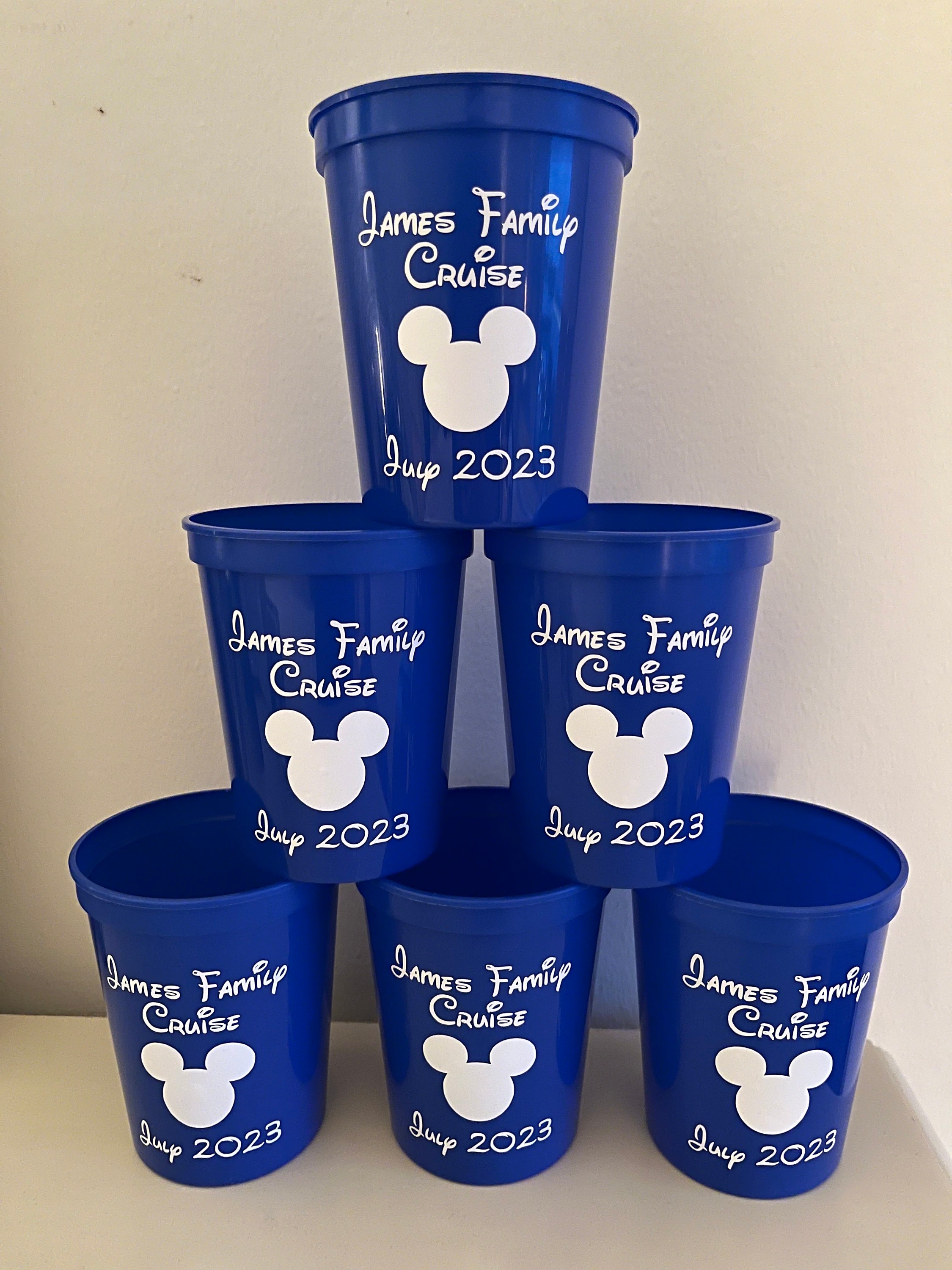 Disney Inspired Family Vacation Cup - Etsy