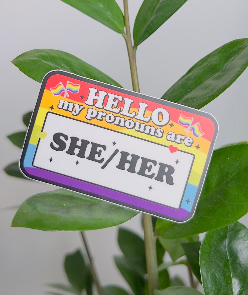 Pronouns Sticker She/her Pronouns Sticker, LGBTQ Support Sticker ...