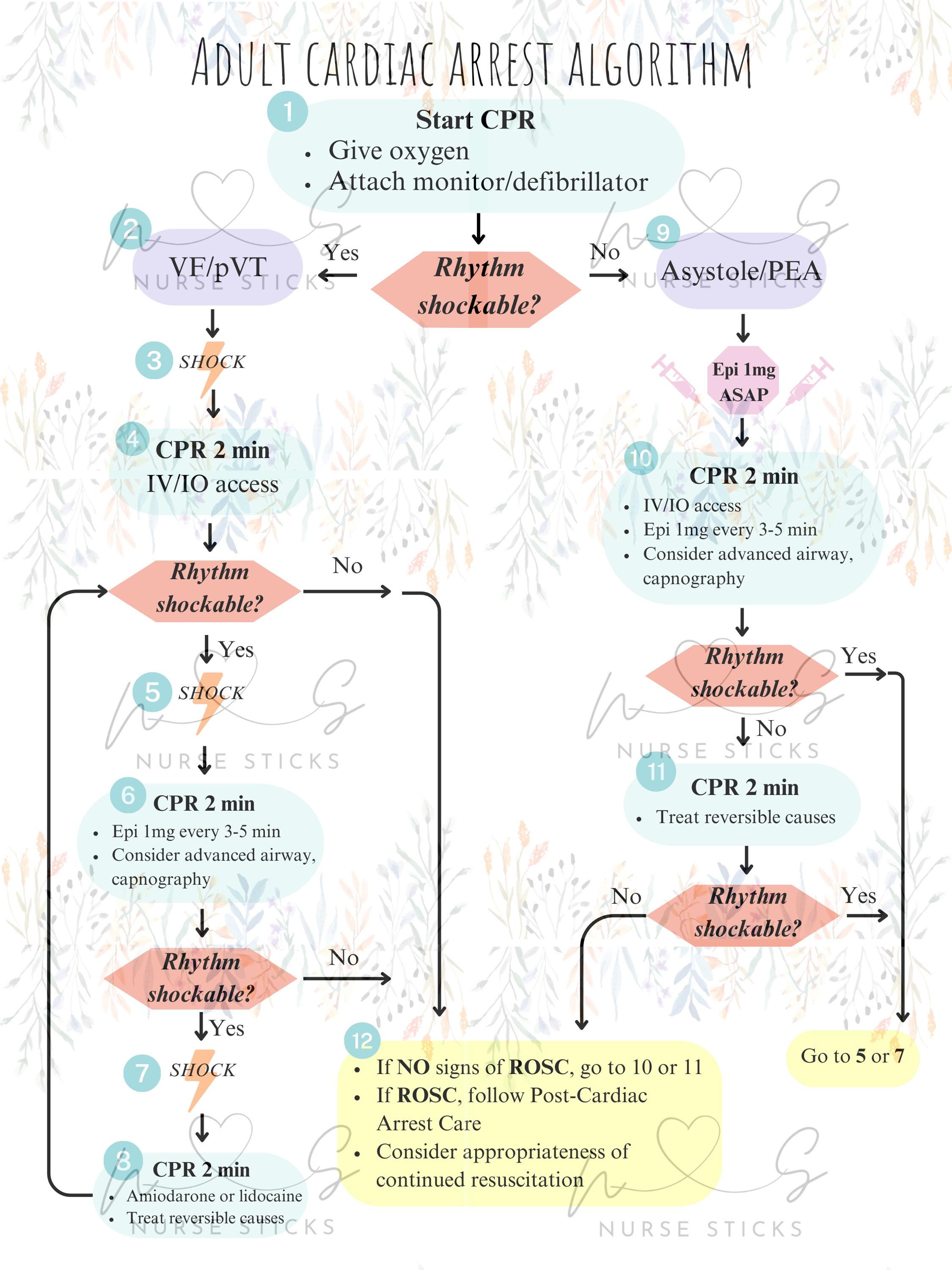ACLS Algorithm Sheet, Healthcare ACLS, Advanced Life Support, Nurse ...
