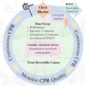 ACLS Algorithm Sheet | Healthcare ACLS, Advanced Life Support, Nurse ...