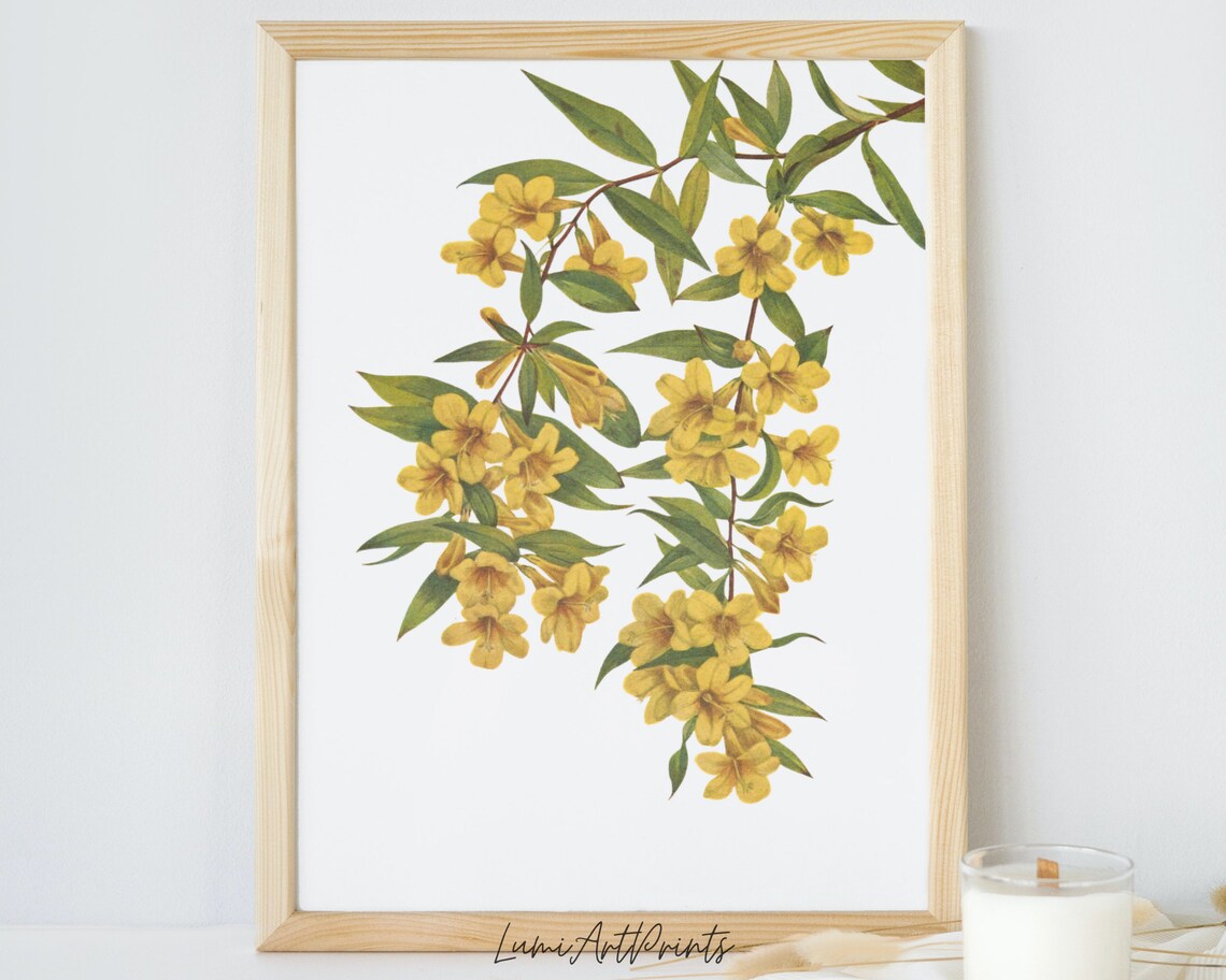 Vintage Flower Prints, Set of 5 Prints, Botanical Prints, Digital ...