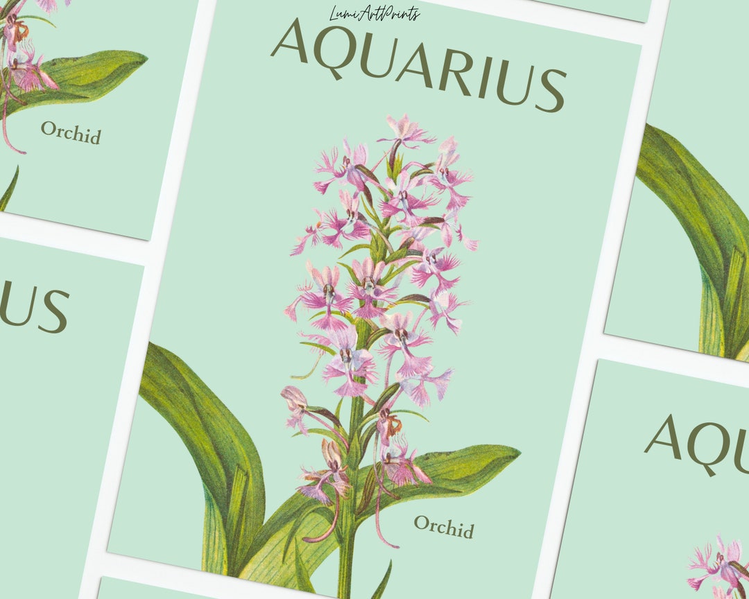 Aquarius Orchid Print: January Birth Flower Botanical Art (digital ...